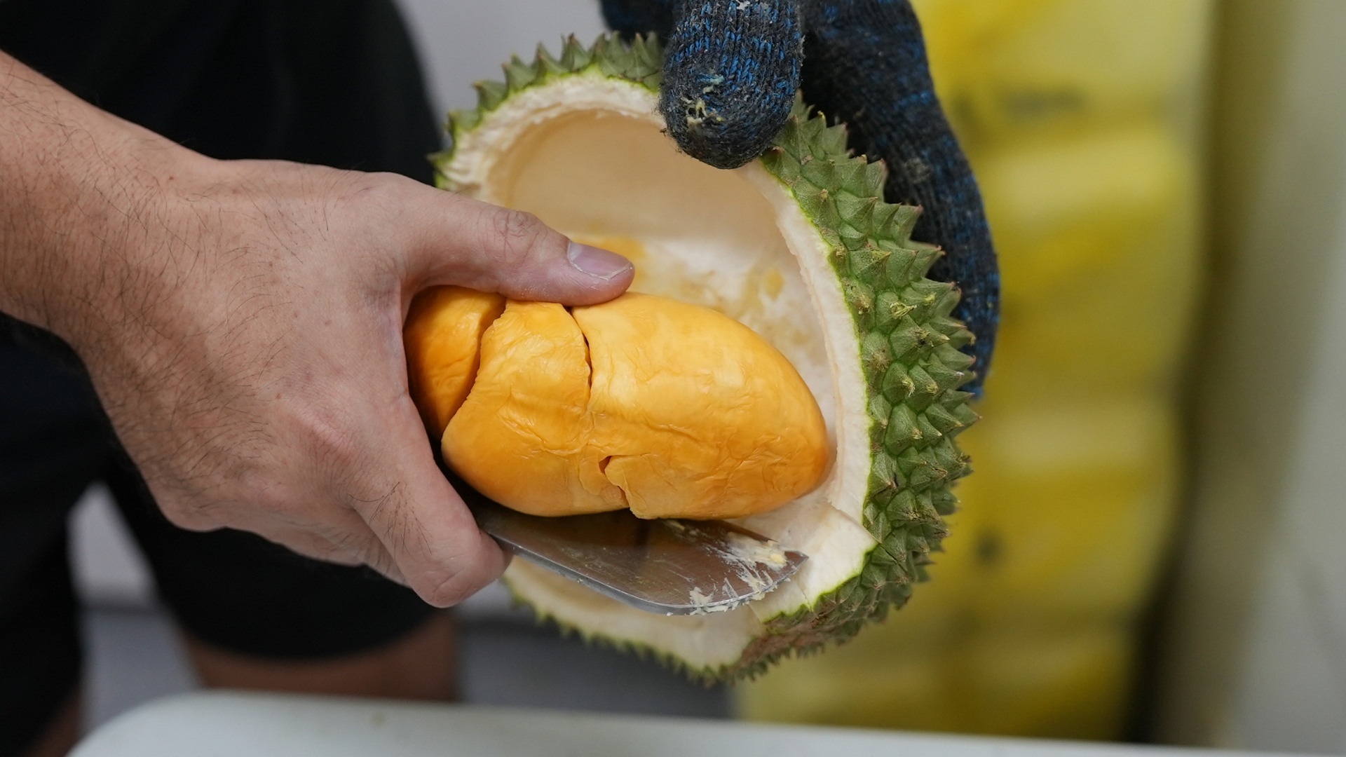 Durian 101: Exploring 5 Different Types of Durian Fruit 😋